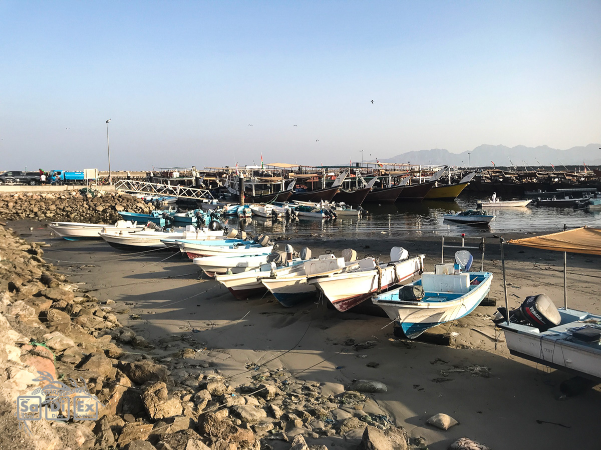 2019 Musandam Liveaboard | Sail Dive Explore